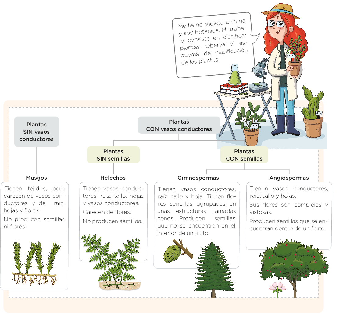 Blink Activity | BlinkLearning