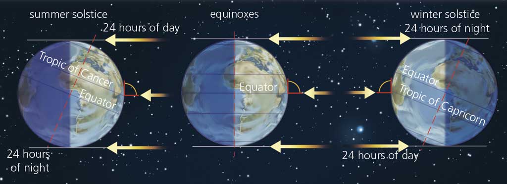 Blink Activity | BlinkLearning
