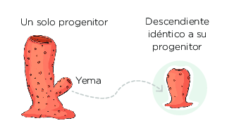 Blink Activity | BlinkLearning