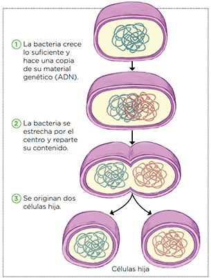 Blink Activity | BlinkLearning