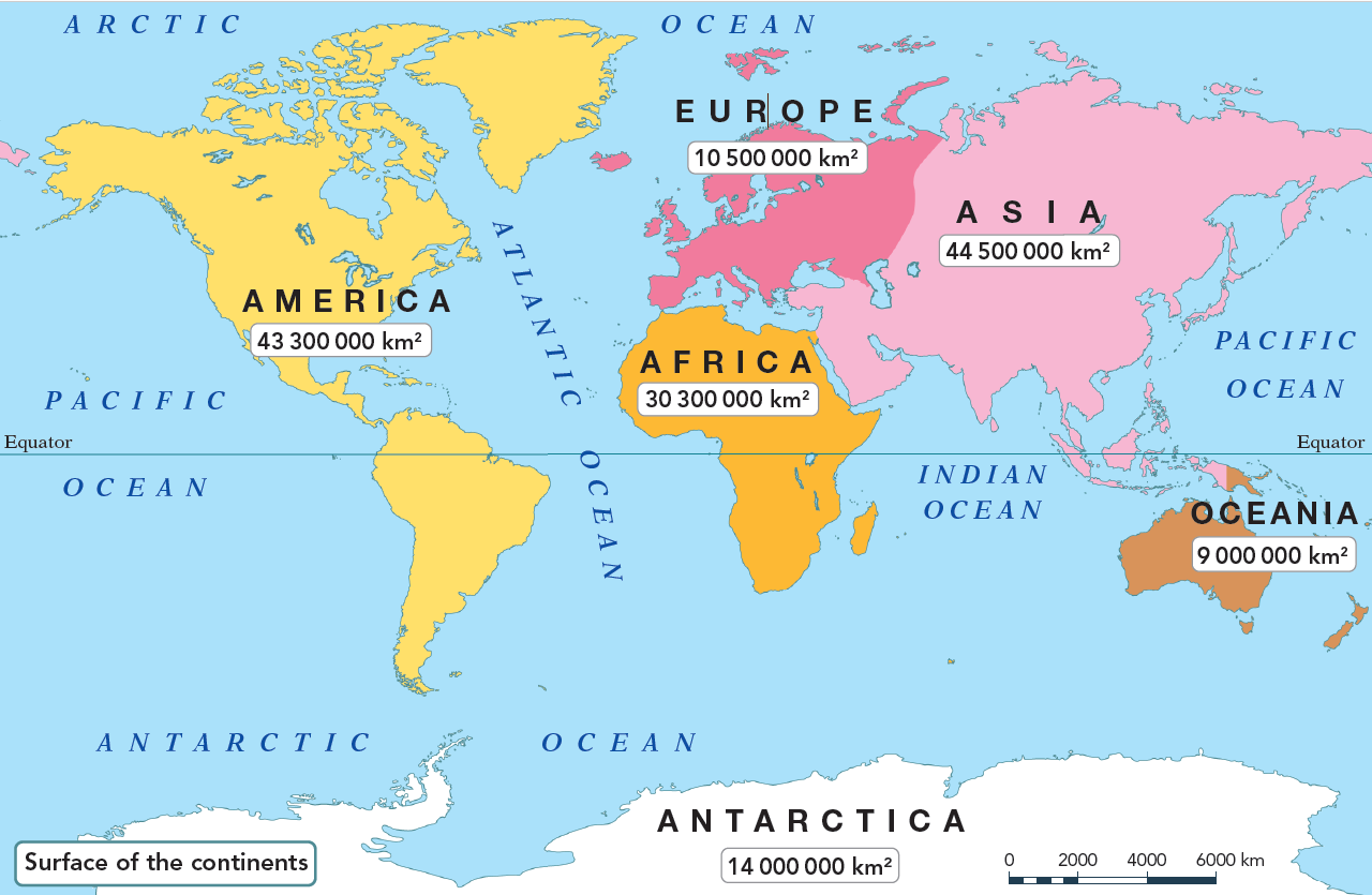 Blink Activity | BlinkLearning