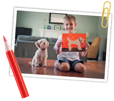 Blink Activity | BlinkLearning