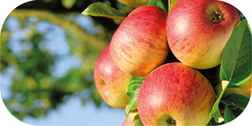 Blink Activity | BlinkLearning