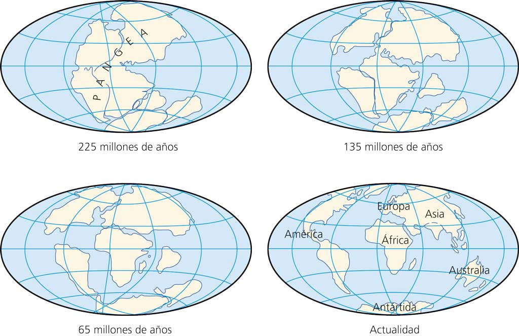 Blink Activity | BlinkLearning