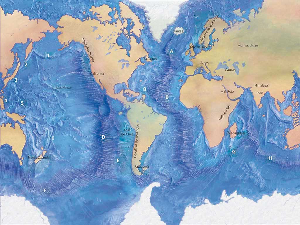 Blink Activity | BlinkLearning