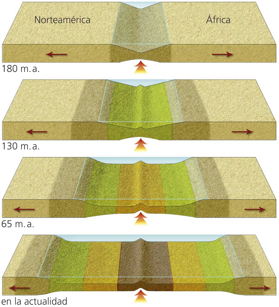 Blink Activity | BlinkLearning