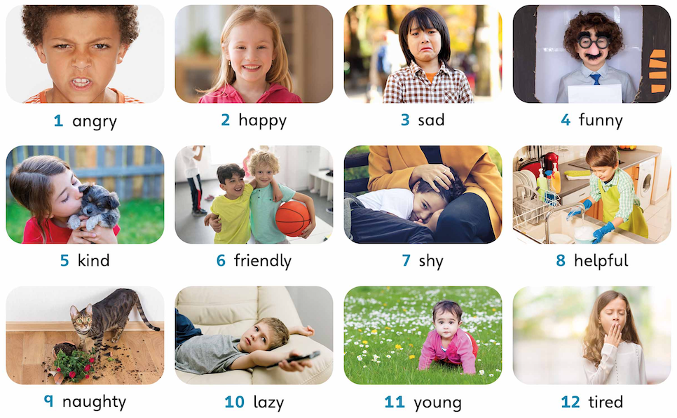 Blink Activity | BlinkLearning