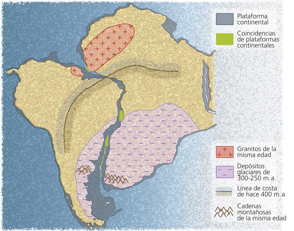Blink Activity | BlinkLearning