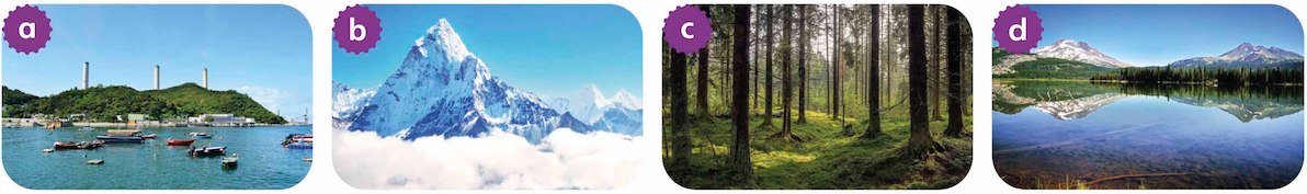 Blink Activity | BlinkLearning