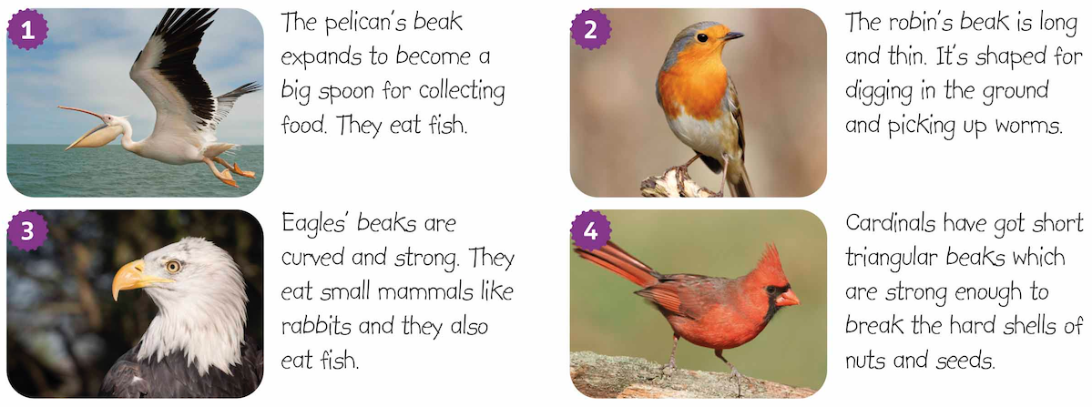 Blink Activity | BlinkLearning