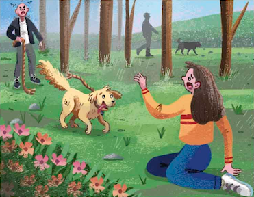 Blink Activity | BlinkLearning