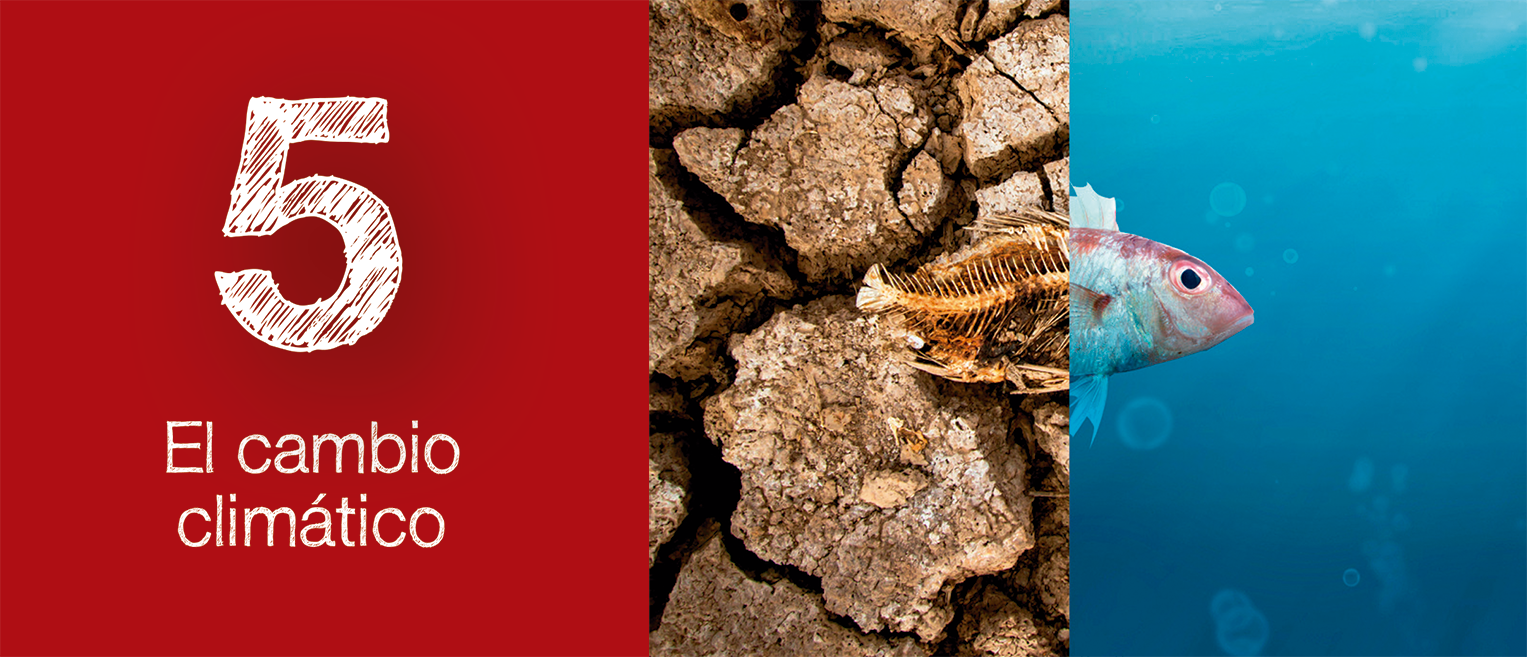 Blink Activity | BlinkLearning