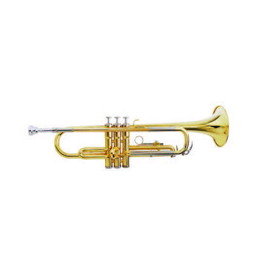 Blink Activity | BlinkLearning