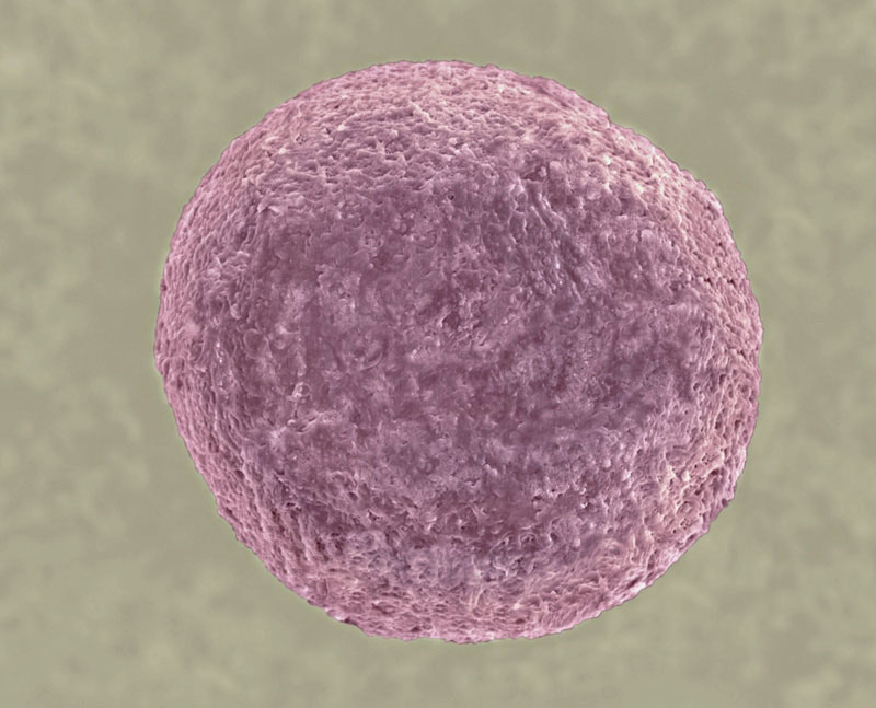 Blink Activity | BlinkLearning