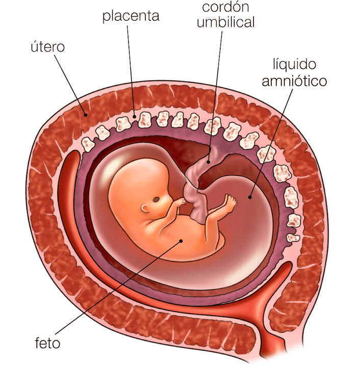 Blink Activity | BlinkLearning
