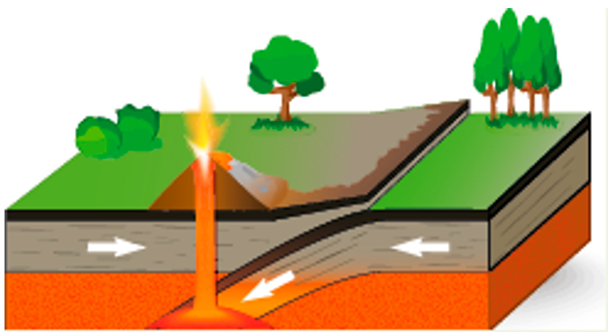 Blink Activity | BlinkLearning