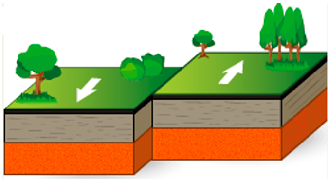 Blink Activity | BlinkLearning
