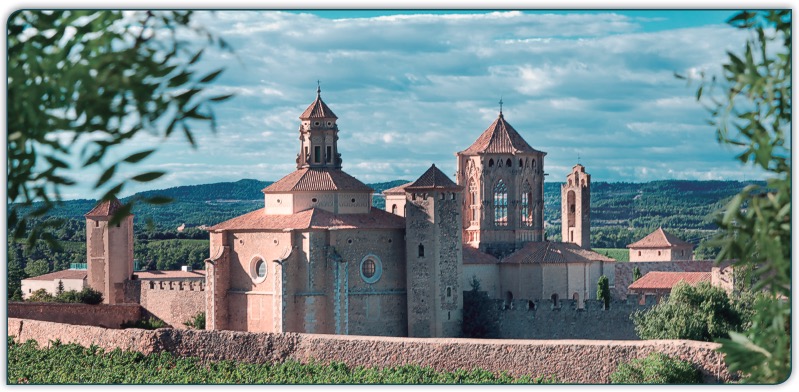 Blink Activity | BlinkLearning