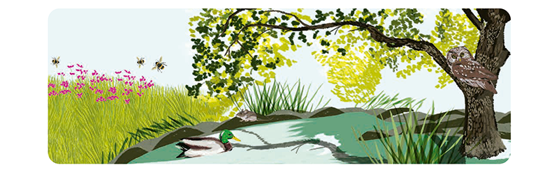 Blink Activity | BlinkLearning