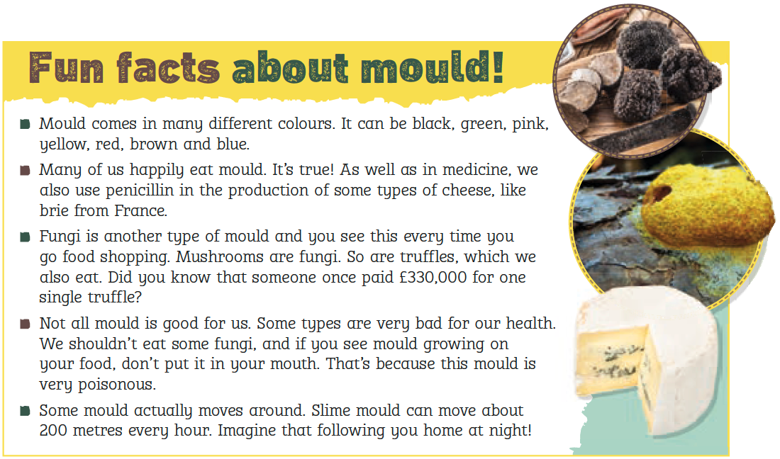 Blink Activity | BlinkLearning