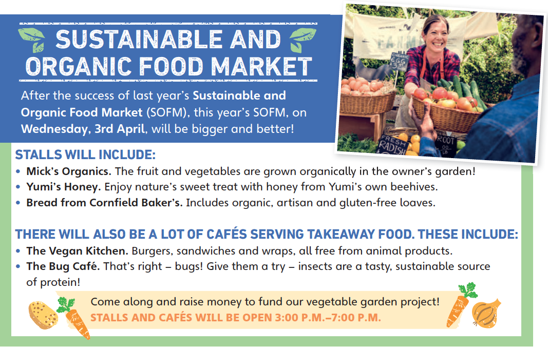 Blink Activity | BlinkLearning