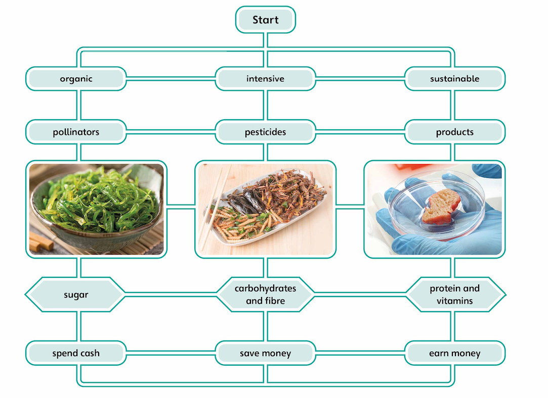 Blink Activity | BlinkLearning