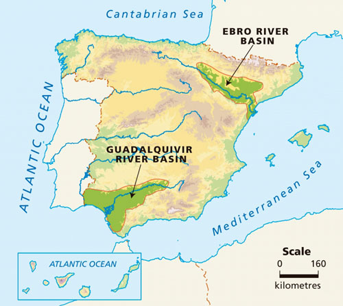 Blink Activity | BlinkLearning