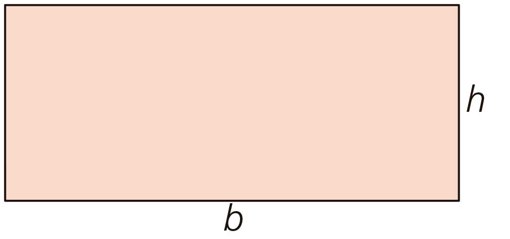Blink Activity | BlinkLearning