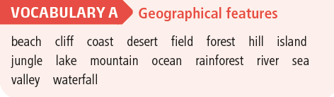 Blink Activity | BlinkLearning