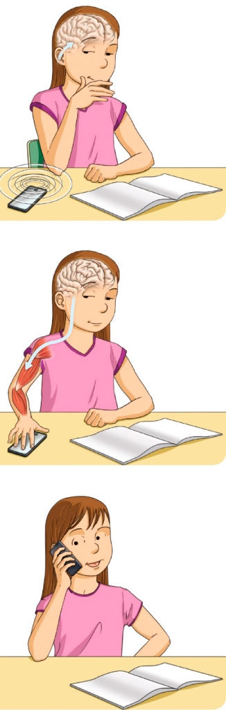 Que Son Los Movimientos Voluntarios E Involuntarios Para Niños ...