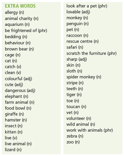 Blink Activity | BlinkLearning