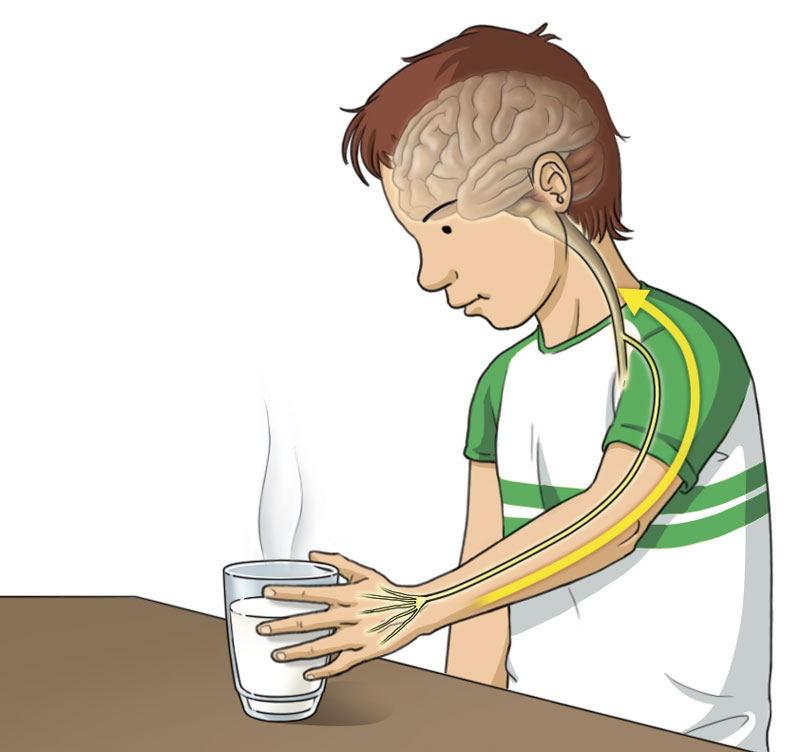 Blink Activity | BlinkLearning