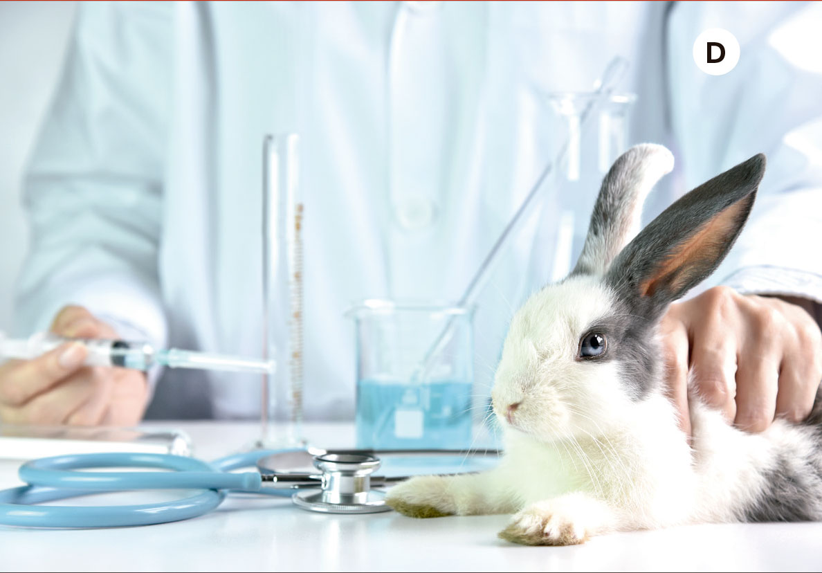 Blink Activity | BlinkLearning