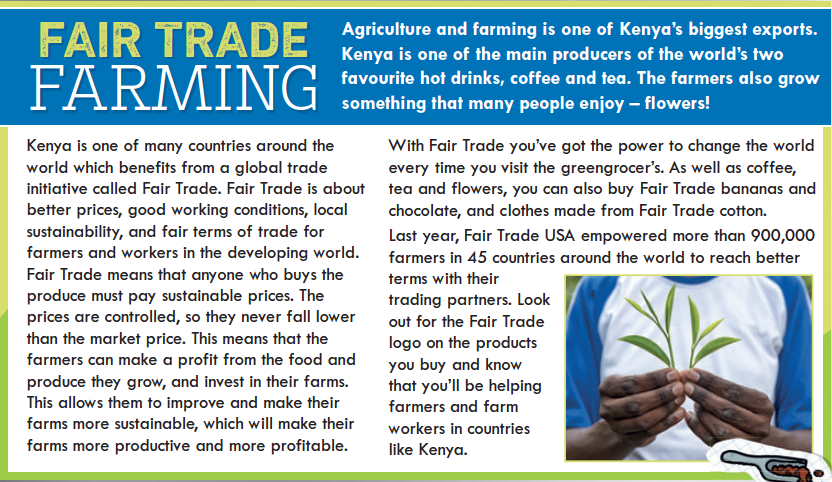 Blink Activity | BlinkLearning