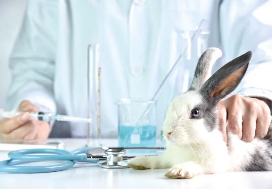 Blink Activity | BlinkLearning