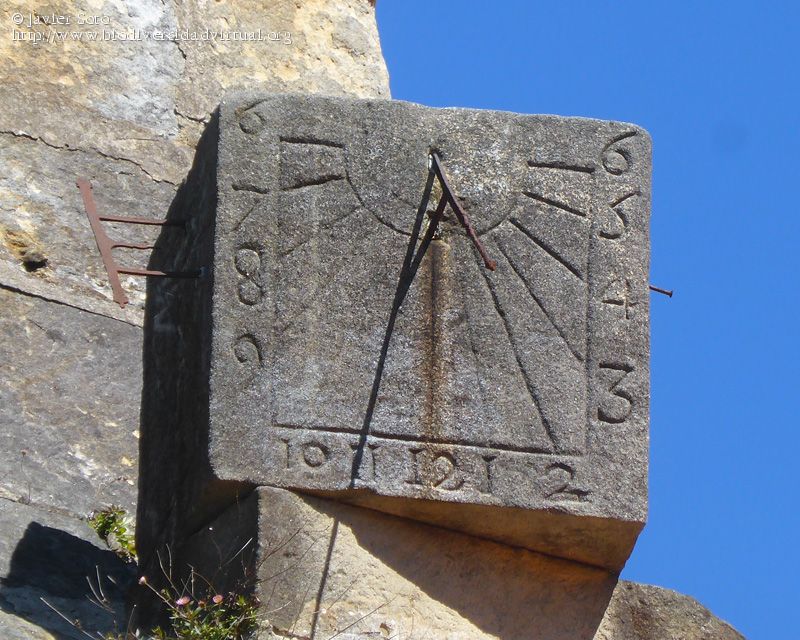 Blink Activity | BlinkLearning