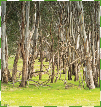 Blink Activity | BlinkLearning