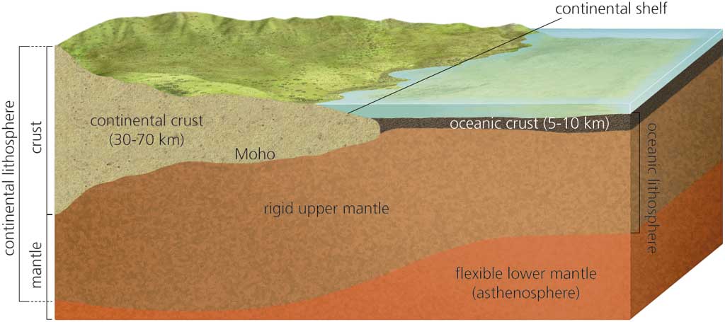 Blink Activity | BlinkLearning