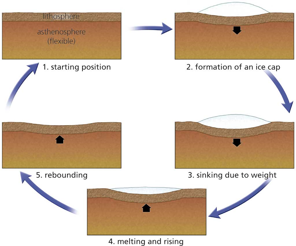 Blink Activity | BlinkLearning