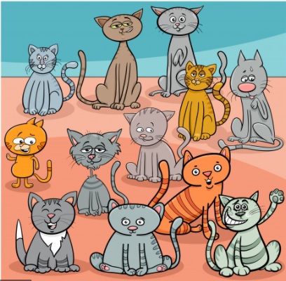 Blink Activity | BlinkLearning