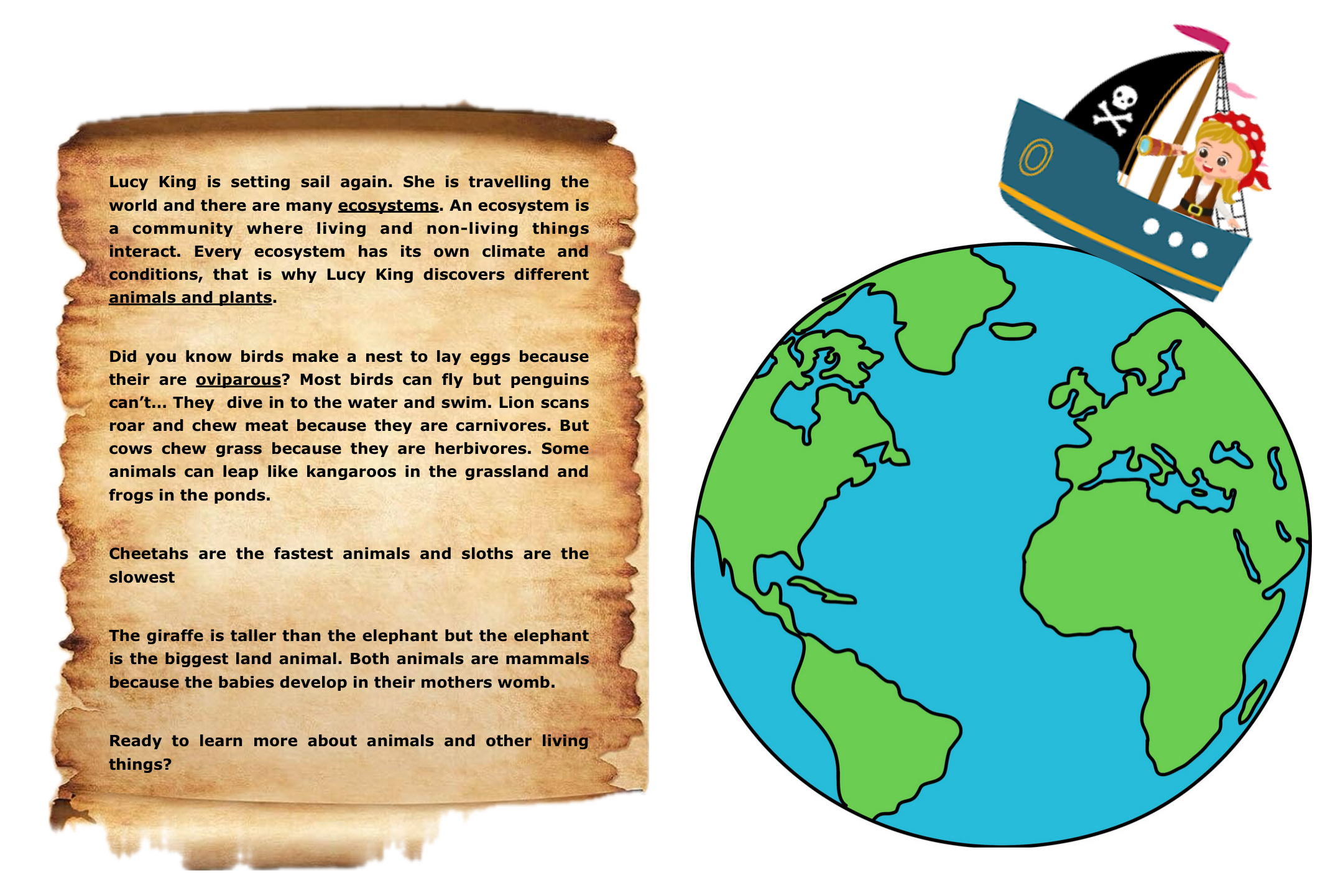 Blink Activity | BlinkLearning