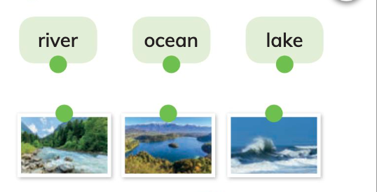 Blink Activity | BlinkLearning