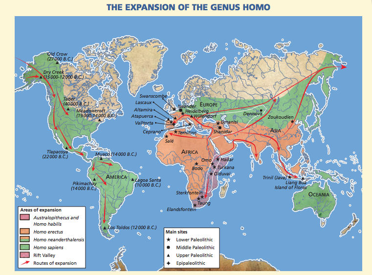 Blink Activity | BlinkLearning