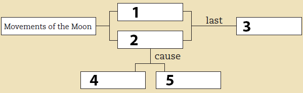 Blink Activity | BlinkLearning