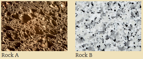 Blink Activity | BlinkLearning