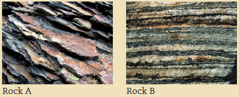 Blink Activity | BlinkLearning