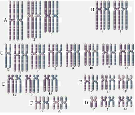 Blink Activity | BlinkLearning
