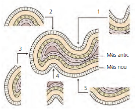 Blink Activity | BlinkLearning