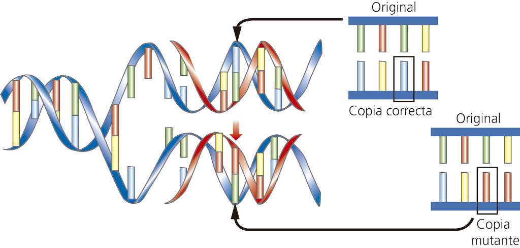 Blink Activity | BlinkLearning