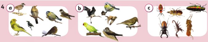 Blink Activity | BlinkLearning